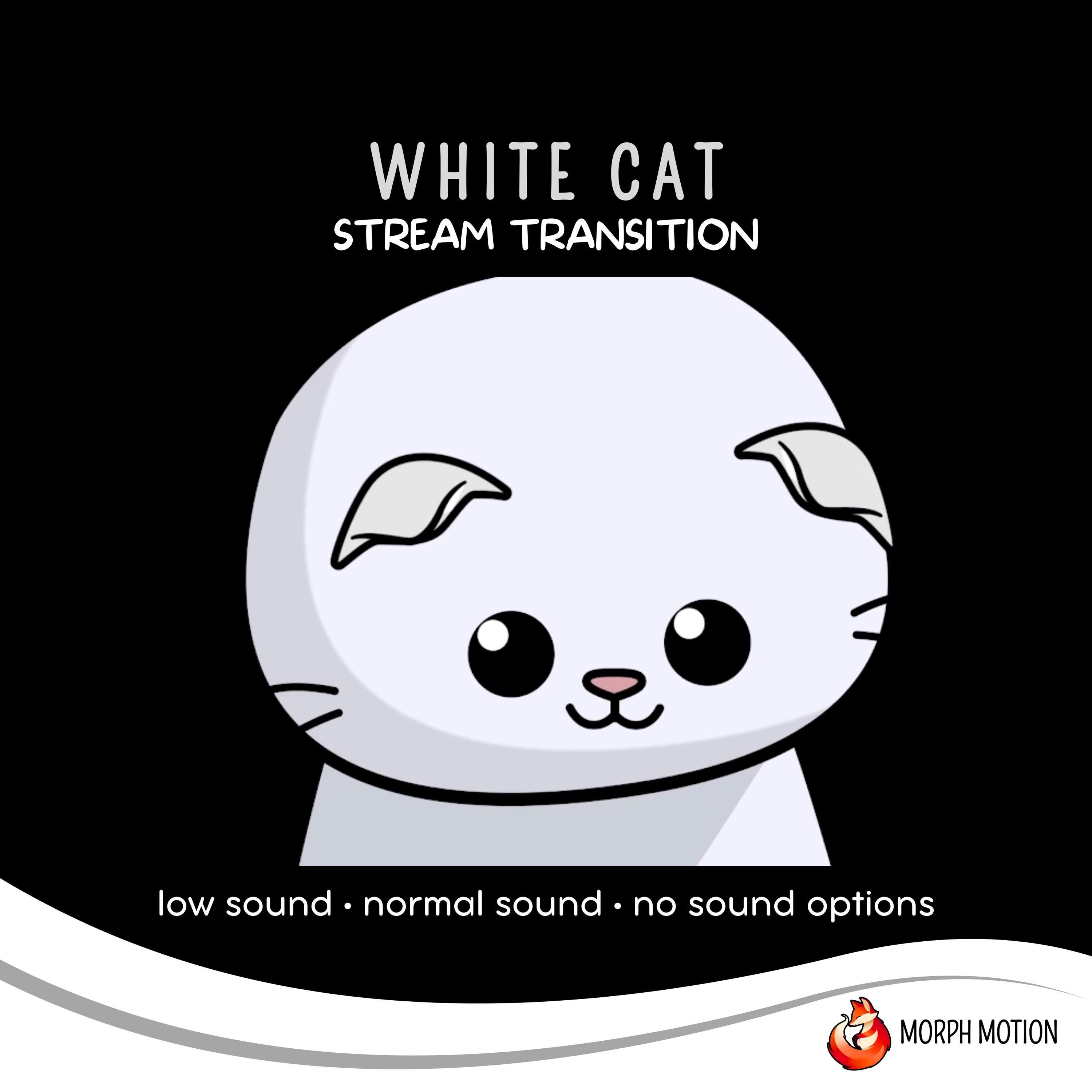 White Cat Animated Stream Transition, Kawaii Twitch Stinger - Etsy