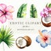 Watercolor Tropical Greenery Clipart | Jungle Leaves & Monstera PNG ...