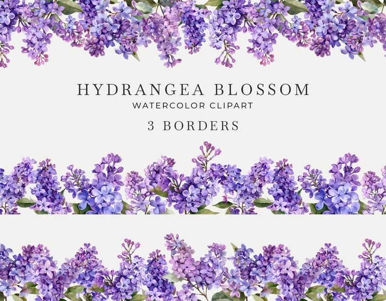 Hydrangea Clipart | Boho Watercolor Floral Frames | Purple & Lilac ...