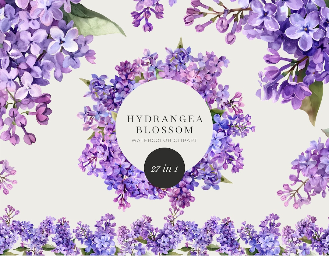 Hydrangea Clipart | Boho Watercolor Floral Frames | Purple & Lilac ...
