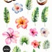 Watercolor Tropical Greenery Clipart | Jungle Leaves & Monstera PNG ...