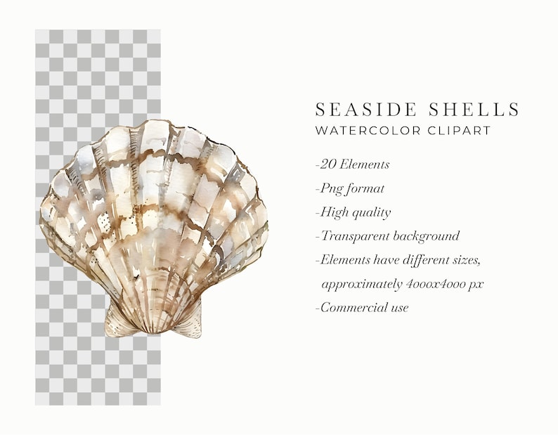 Watercolor Seashells Clipart | Boho Beach Shells Collection | Sea Life ...