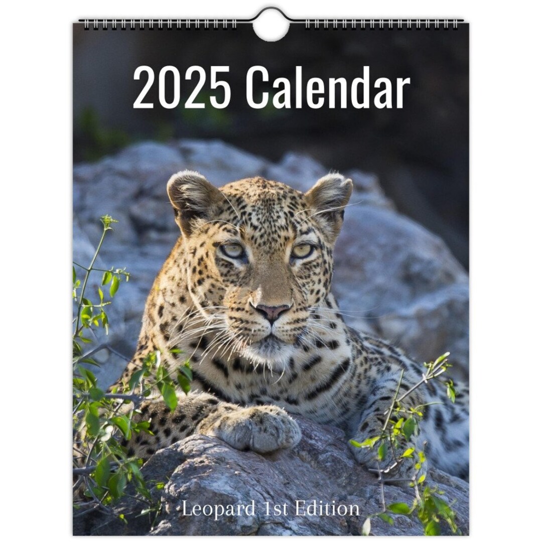 Leopard Wall Calendars 2025 US & CA 1st Edition - Etsy