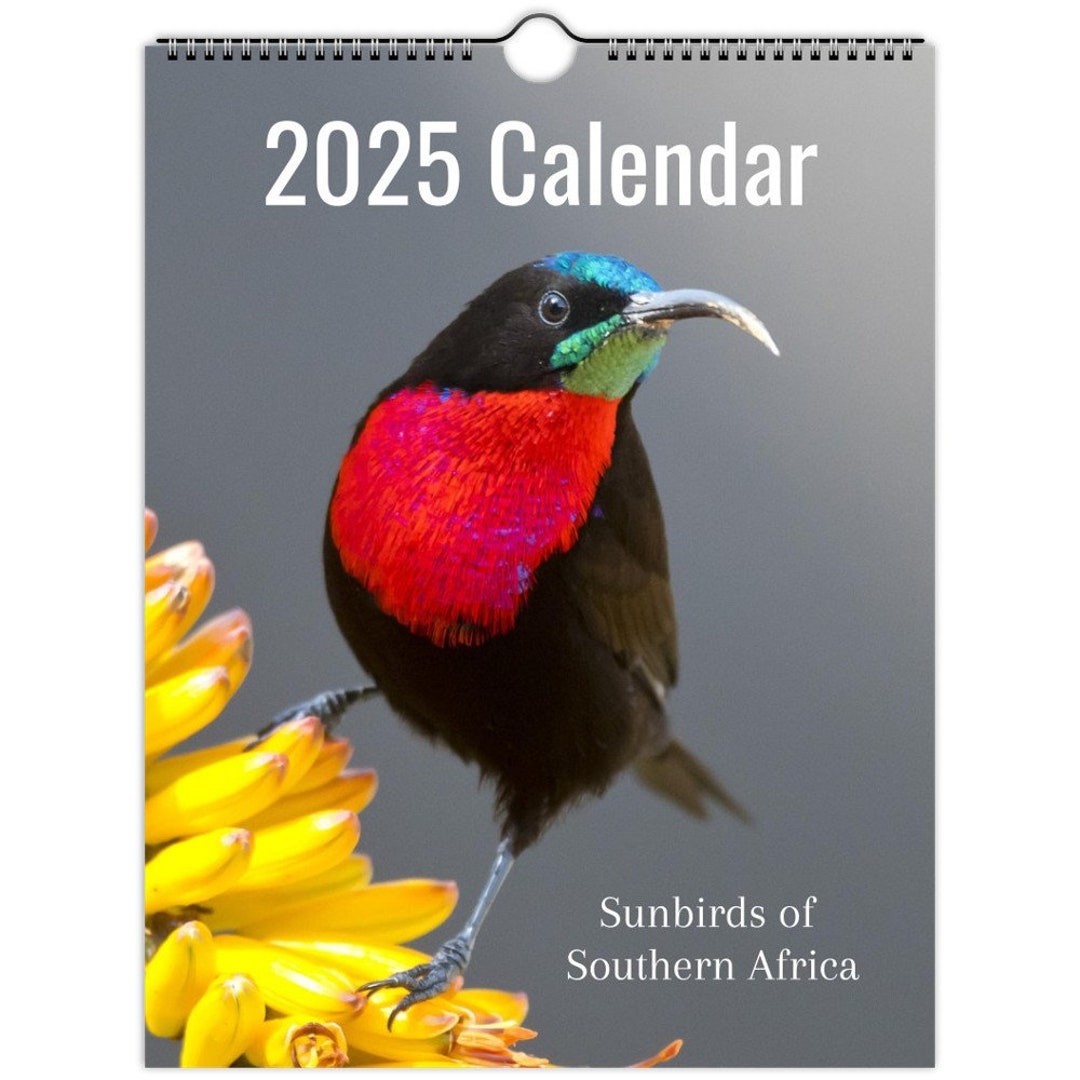 Sunbird Wall Calendars 2025 (US & CA) - Etsy