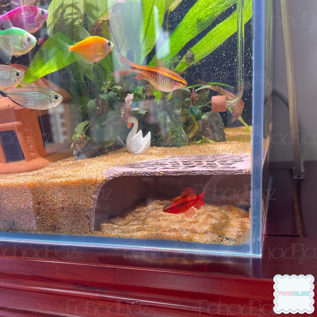 3D Printed Aquarium Corner Decoration, Aquarium Accessories ...