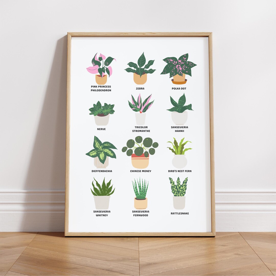 House Plants Wall Art Grid Printable Botanical Design Home Decor ...