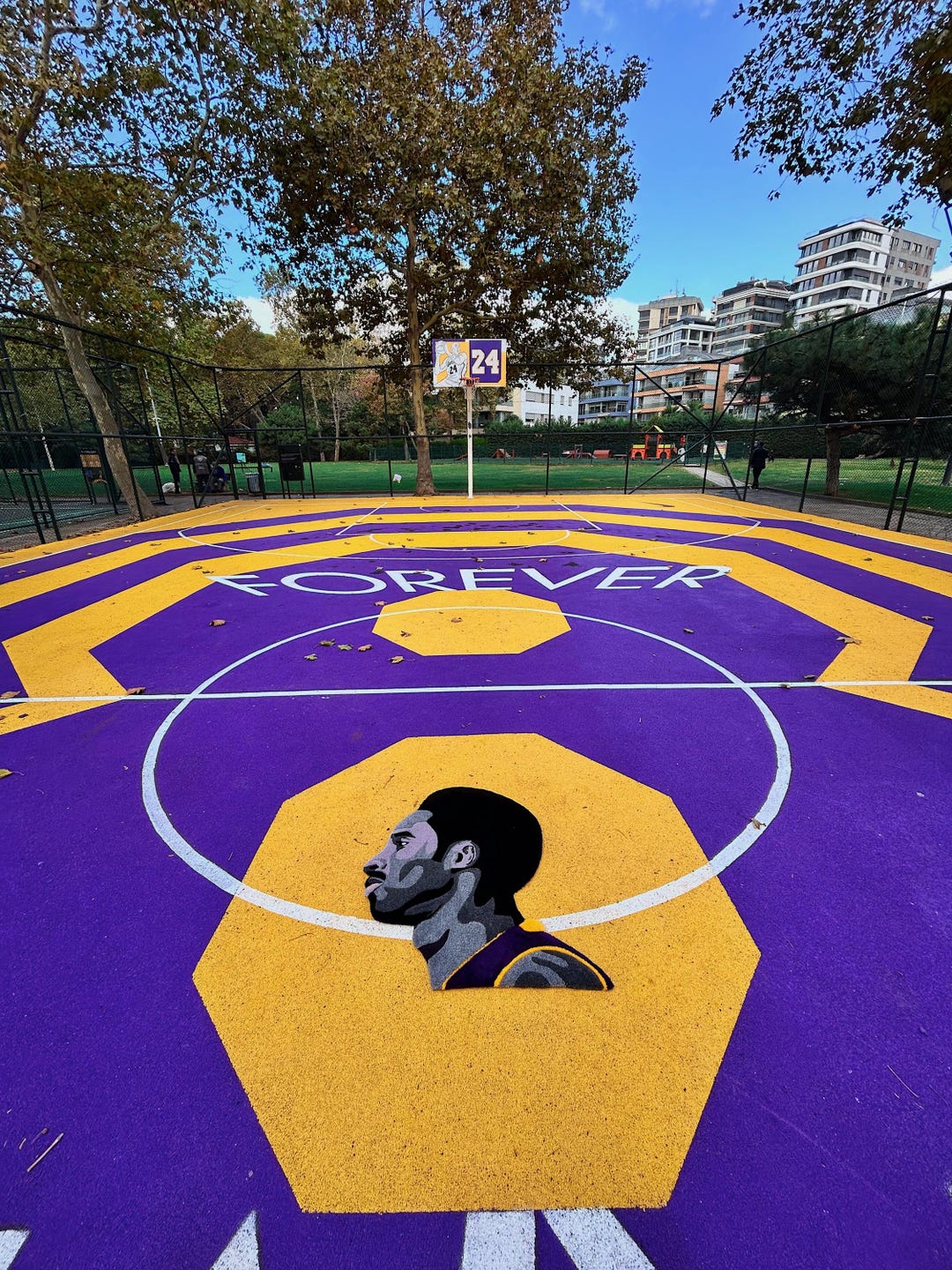 Handmade Kobe Bryant Rug - Black Mamba - Iconic Basketball Decor for ...