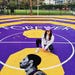 Handmade Kobe Bryant Rug - Black Mamba - Iconic Basketball Decor for ...