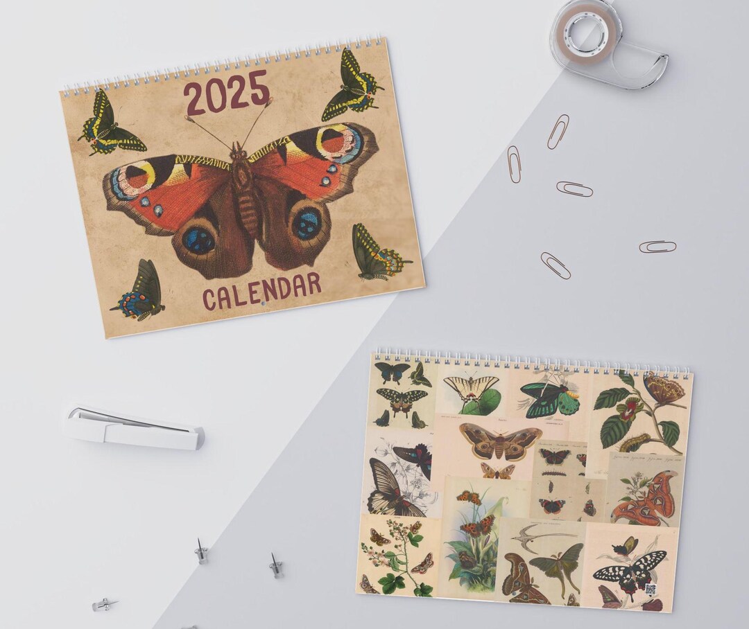 Vintage Butterfly Moth Prints 2025 Wall Calendar: Nature Decor - Etsy