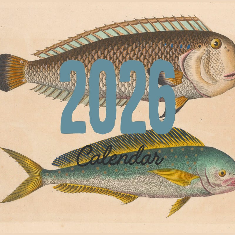 Fishing Calendars 2026 - Etsy