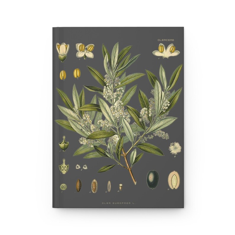 Vintage Olive Tree Journal BLACK, Botanical Hardcover Journal, German ...
