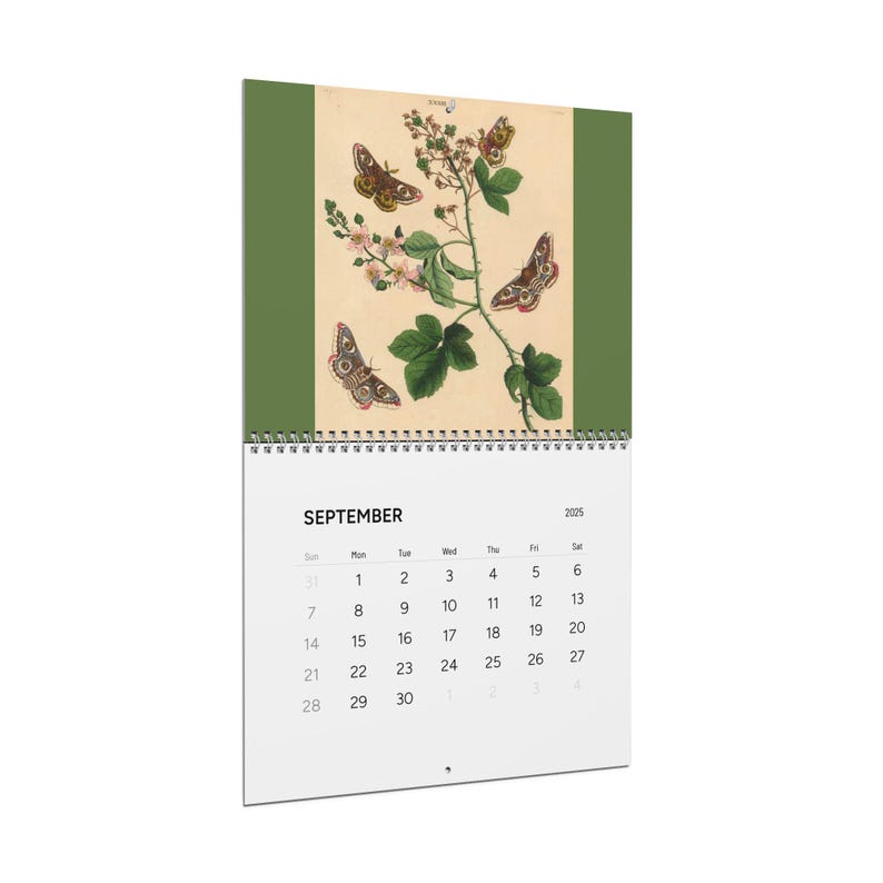 Vintage Butterfly Moth Prints 2025 Wall Calendar: Nature Decor - Etsy