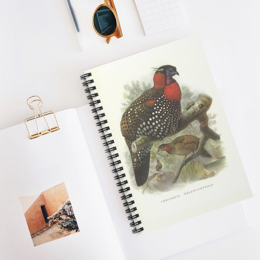 Vintage Bird Print Spiral Notebook: Bird Lover's Journal - Etsy