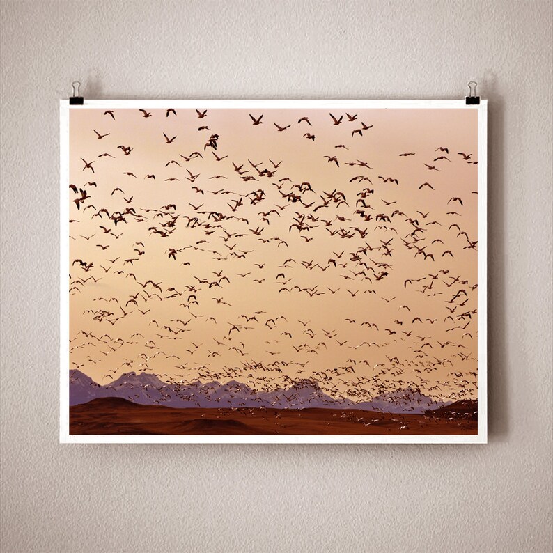 SPRING MIGRATION 8x10 Signed Fine Art Photograph - Etsy