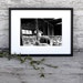 LLAMA WATCH - 8x10 Signed Fine Art Photograph - Etsy