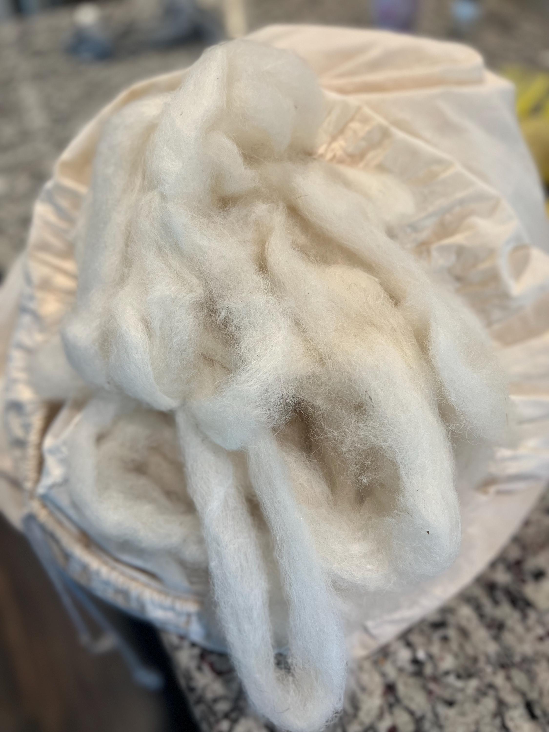 Valais Blacknose Sheep Locks - Etsy