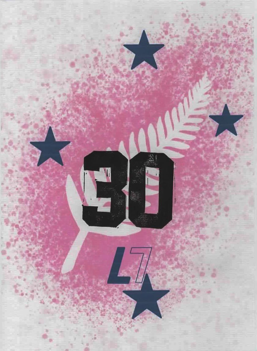 Liam Lawson A4 Driver Number Poster - Etsy