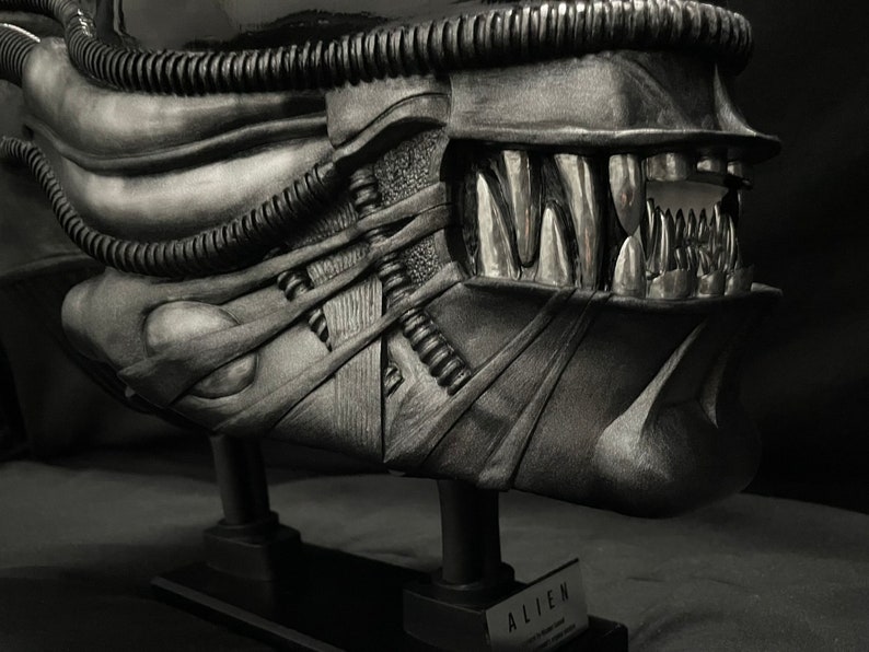 Alien « big Chap » Head/bust - 1:1 Scale Replica (life Size) - Etsy