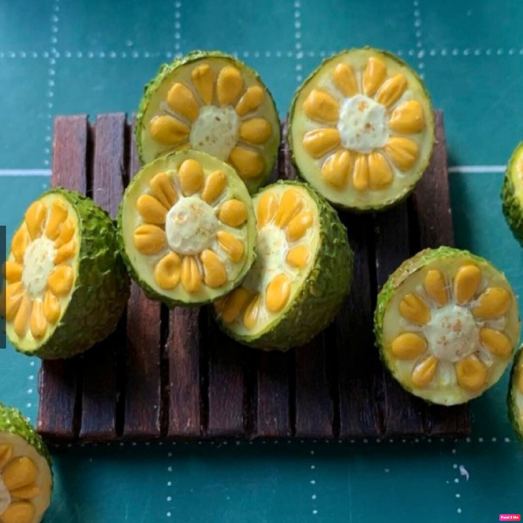 Miniature Jackfruit ,mini Food Model for Dolls, Miniature Bake ...