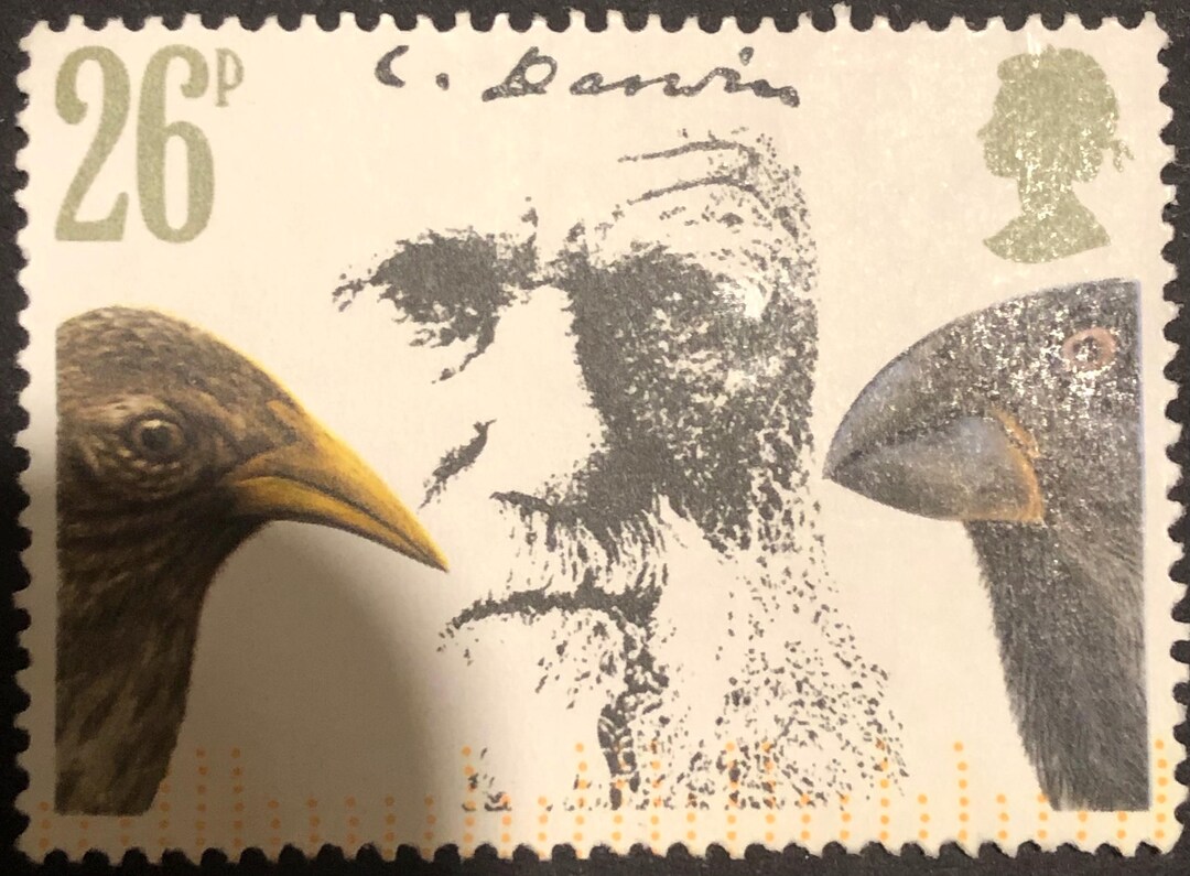 26p Crow Postage , Stamp N2 Acceptable Condition Nice Colour… - Etsy