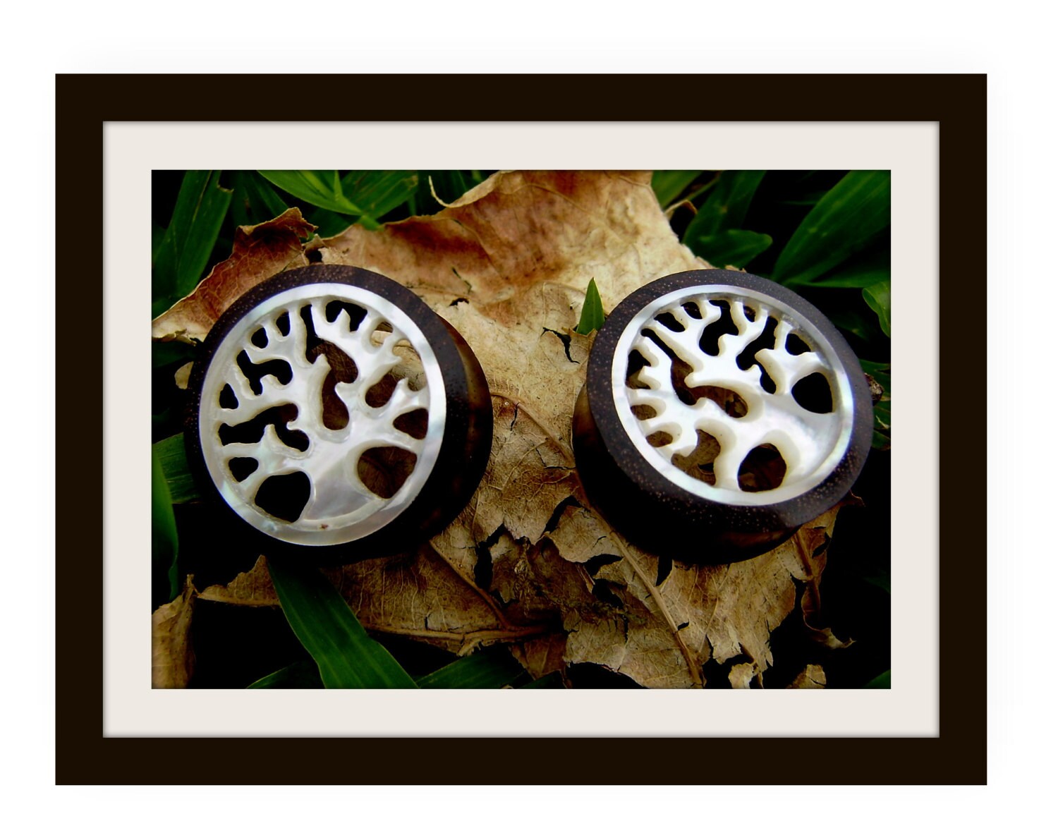 Real Gauge Natural Sono Wood Mop Shell Handmade Tribal - Etsy