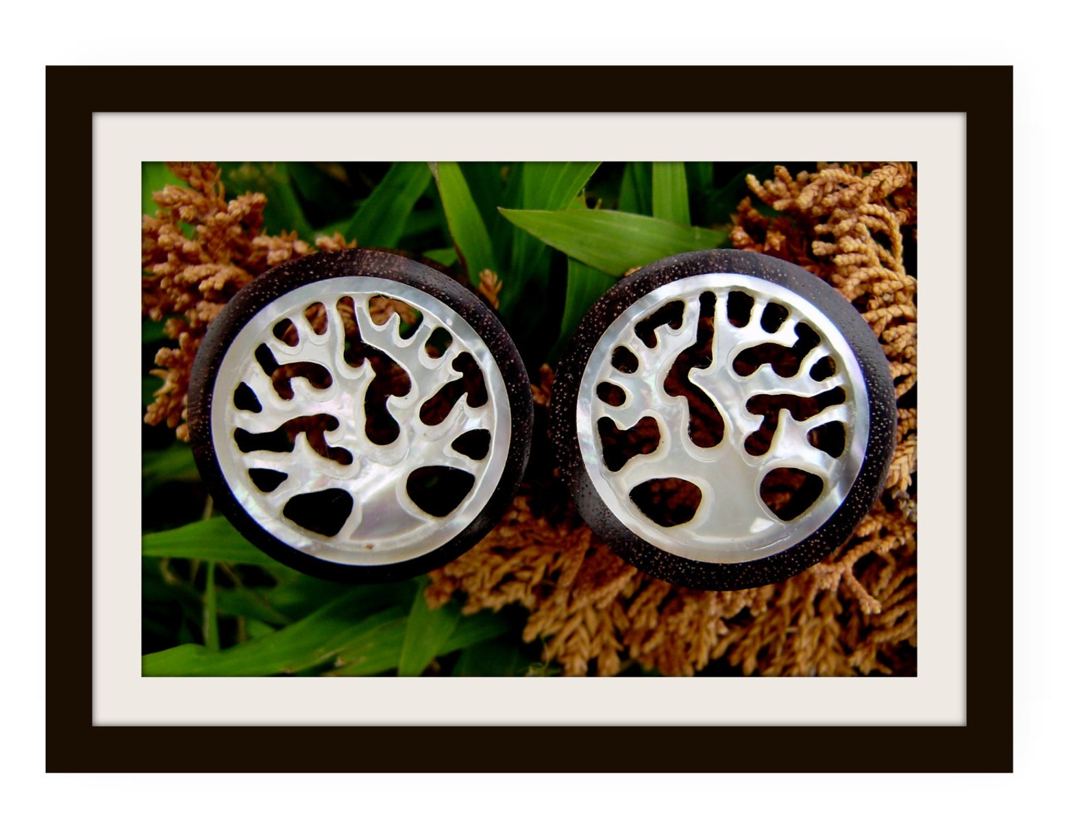 Real Gauge Natural Sono Wood Mop Shell Handmade Tribal - Etsy