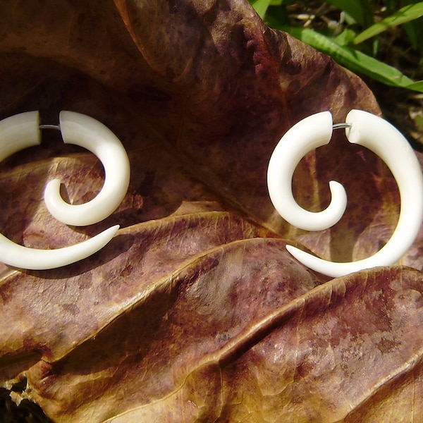 Spiral Bone Carved Earrings - Etsy