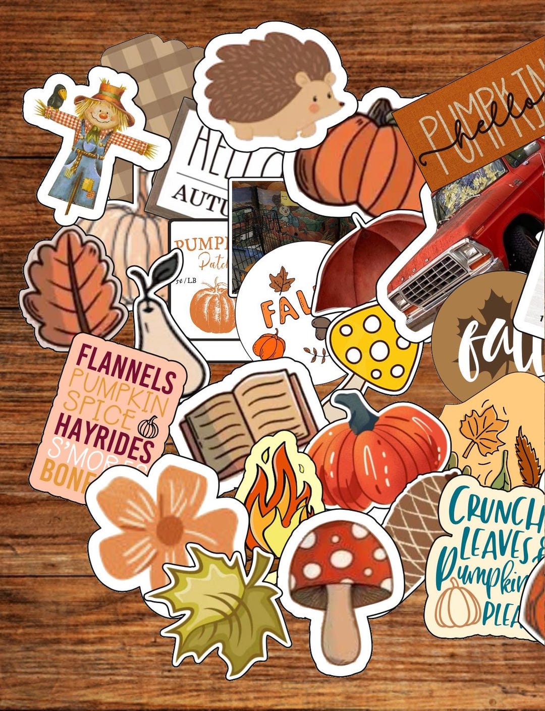 25-100pcs Fall Stickers, Assorted Fall Stickers, Fall Sticker Pack ...