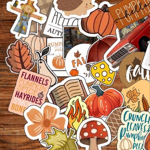 25-100pcs Fall Stickers, Assorted Fall Stickers, Fall Sticker Pack ...