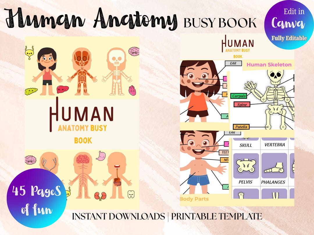 Human Anatomy Busy Book: Printable Learning Activities (PDF Download ...