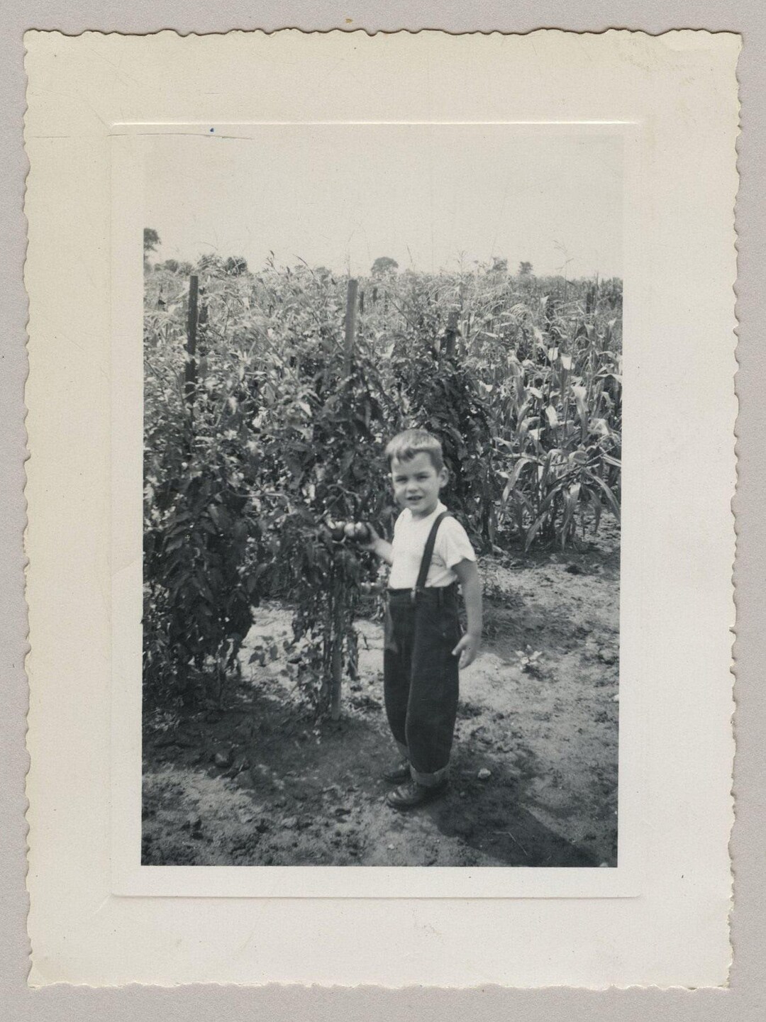 Original Vintage Photo Snapshot Boy in Garden 1940s-50s - Etsy