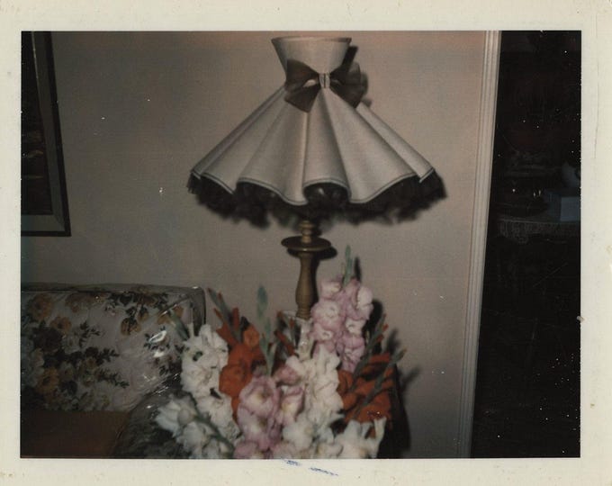 Original Vintage Color Polaroid Photo Snapshot Lamp & Flowers 1970s - Etsy