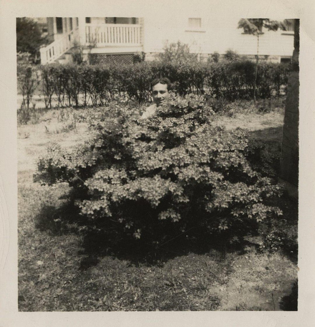 Original Vintage Photo Snapshot Man Behind Bush Shrub 1940s-50s - Etsy