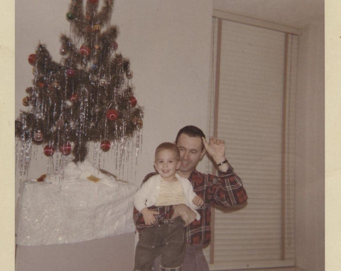 Original Vintage Color Kodacolor Photo Snapshot Man Small Boy ...