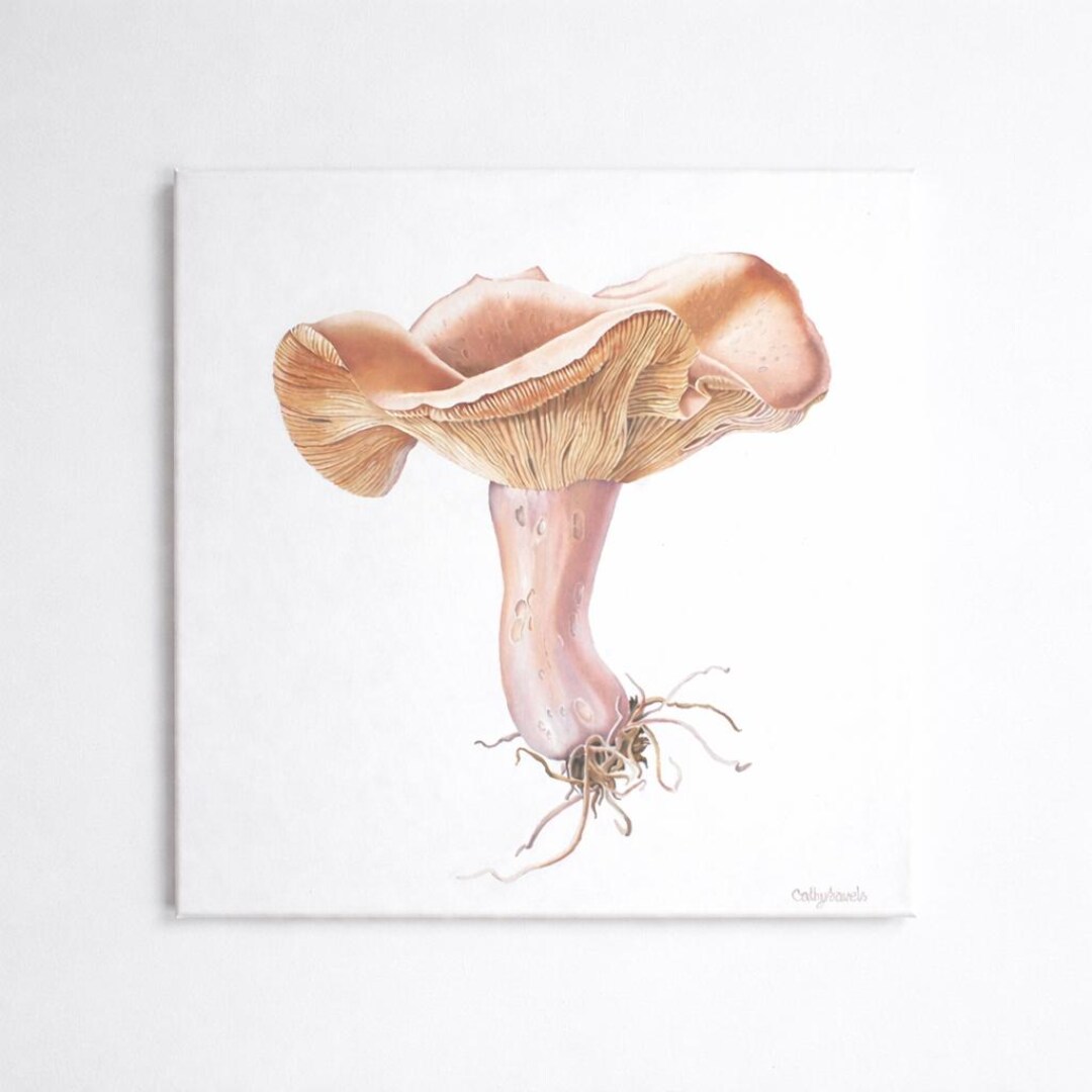 Original Mushroom Oil Painting: Realistic Botanical Man Cave Mycophile ...