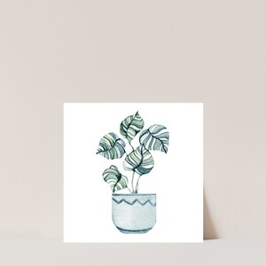 Printable Art Square Set of 9 Boho Plants - Etsy