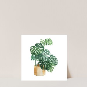 Printable Art Square Set of 9 Boho Plants - Etsy