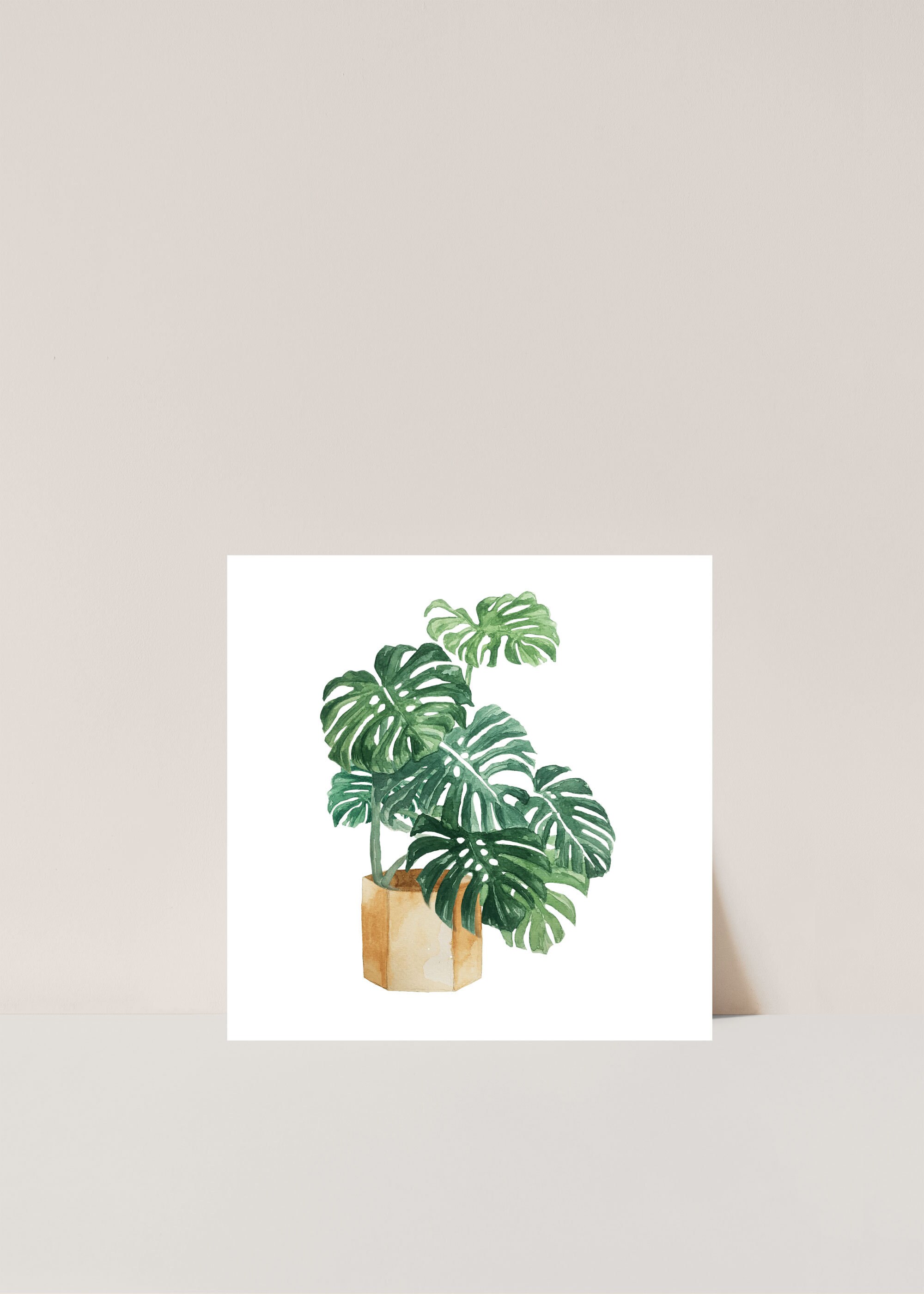 Printable Art Square Set of 9 Boho Plants - Etsy