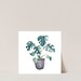 Printable Art Square Set of 9 Boho Plants - Etsy
