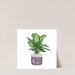 Printable Art Square Set of 9 Boho Plants - Etsy