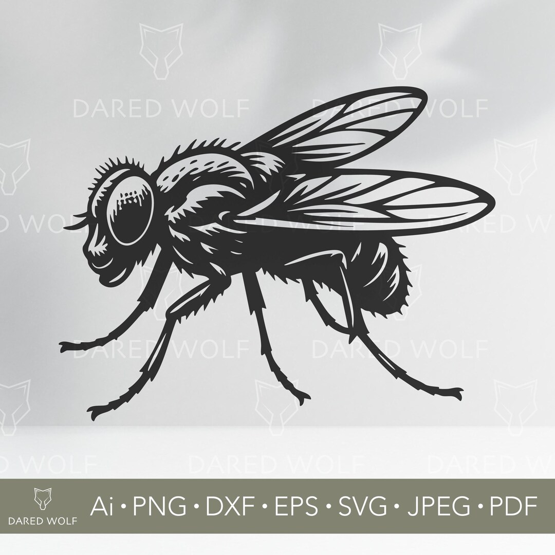 Realistic Housefly SVG Design: Insect Clipart for Cricut, Laser Cut ...