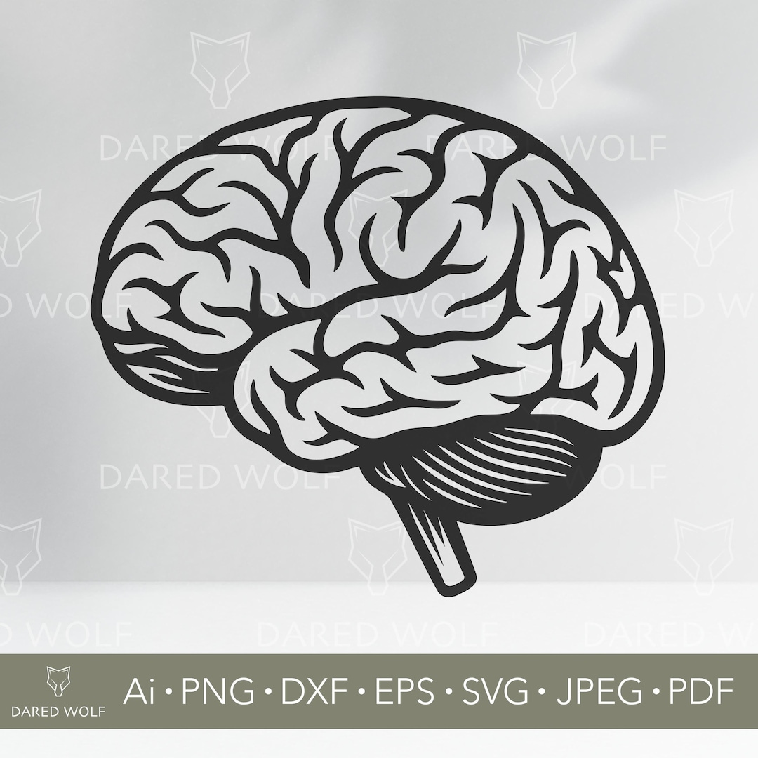 Brain SVG Clipart for Cricut and Silhouette | Human Organ Digital ...