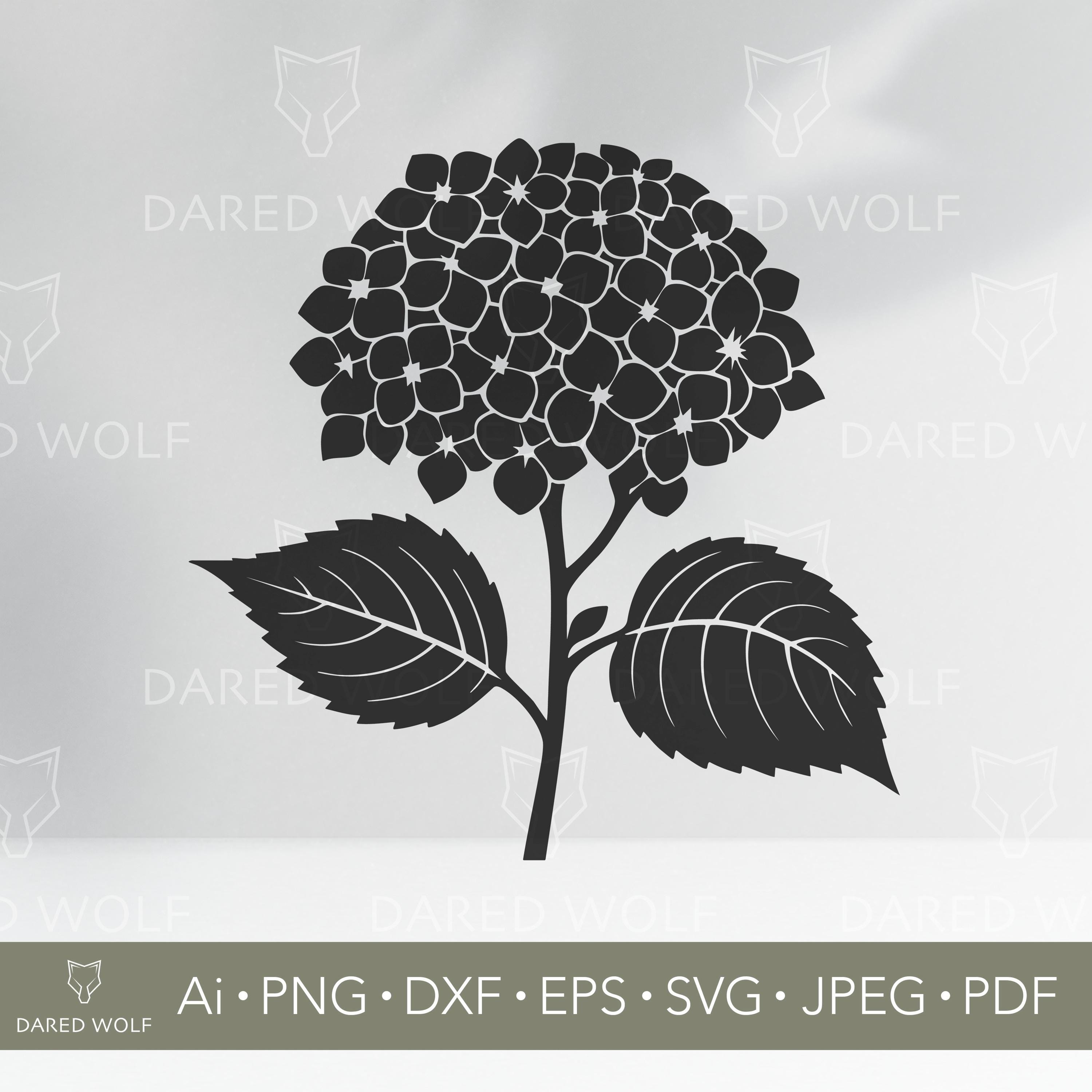 Hydrangea Flower SVG: Botanical Vector Art (digital File) - Etsy