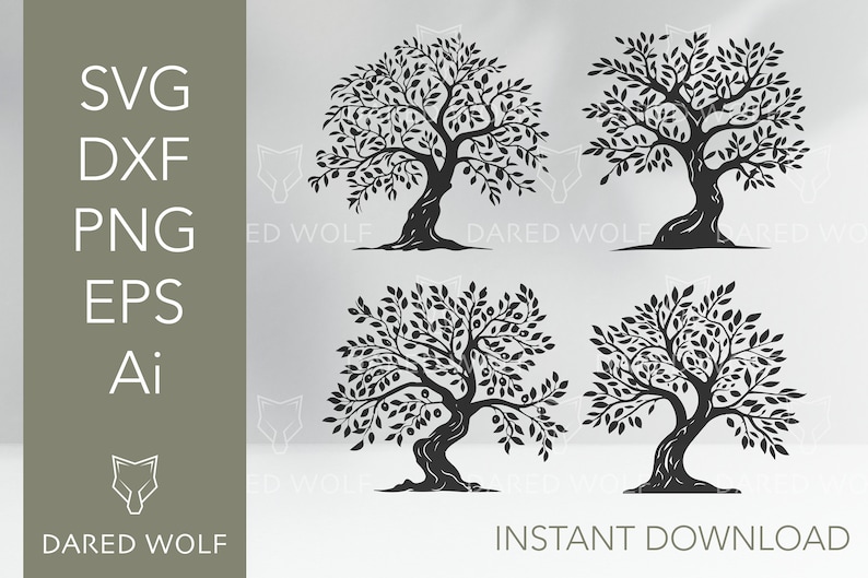 Olive Tree Vector Cut File | Tree of Life Clipart | Family Tree Svg ...
