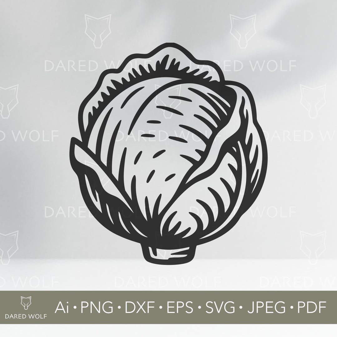 Cabbage Vegetable SVG Clipart | Garden Food Vector for Cricut ...