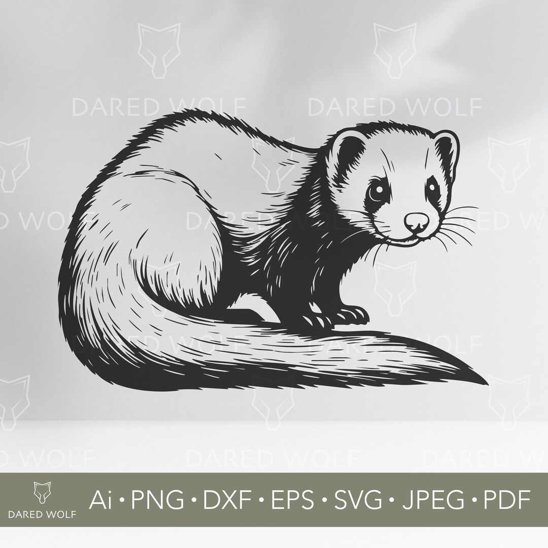 Ferret Vector Art | Cute Pet SVG for Cricut and Silhouette | Animal ...