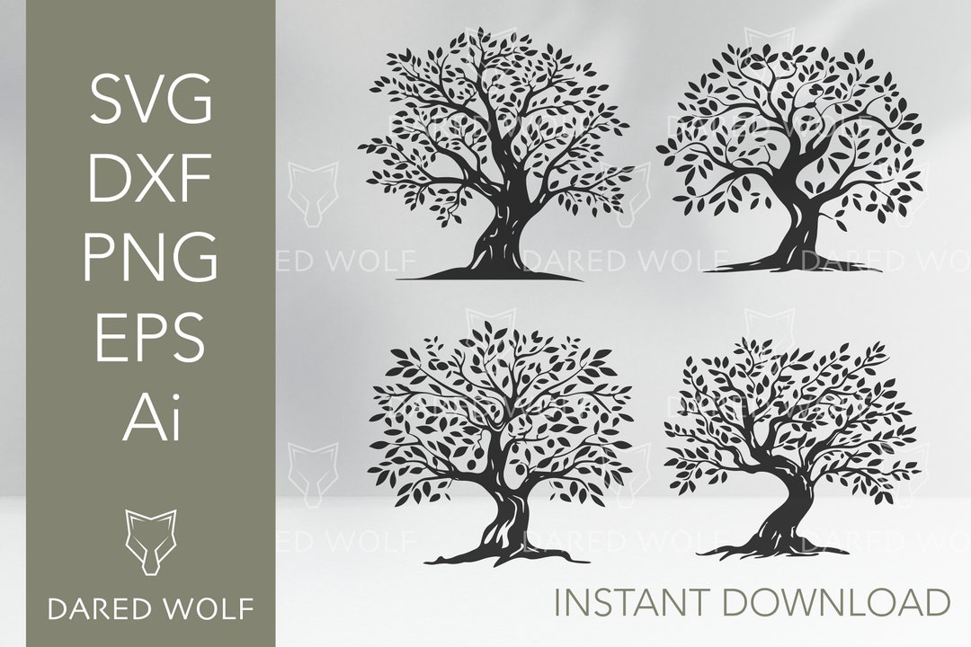 Olive Tree Vector Cut File | Tree of Life Clipart | Family Tree Svg ...