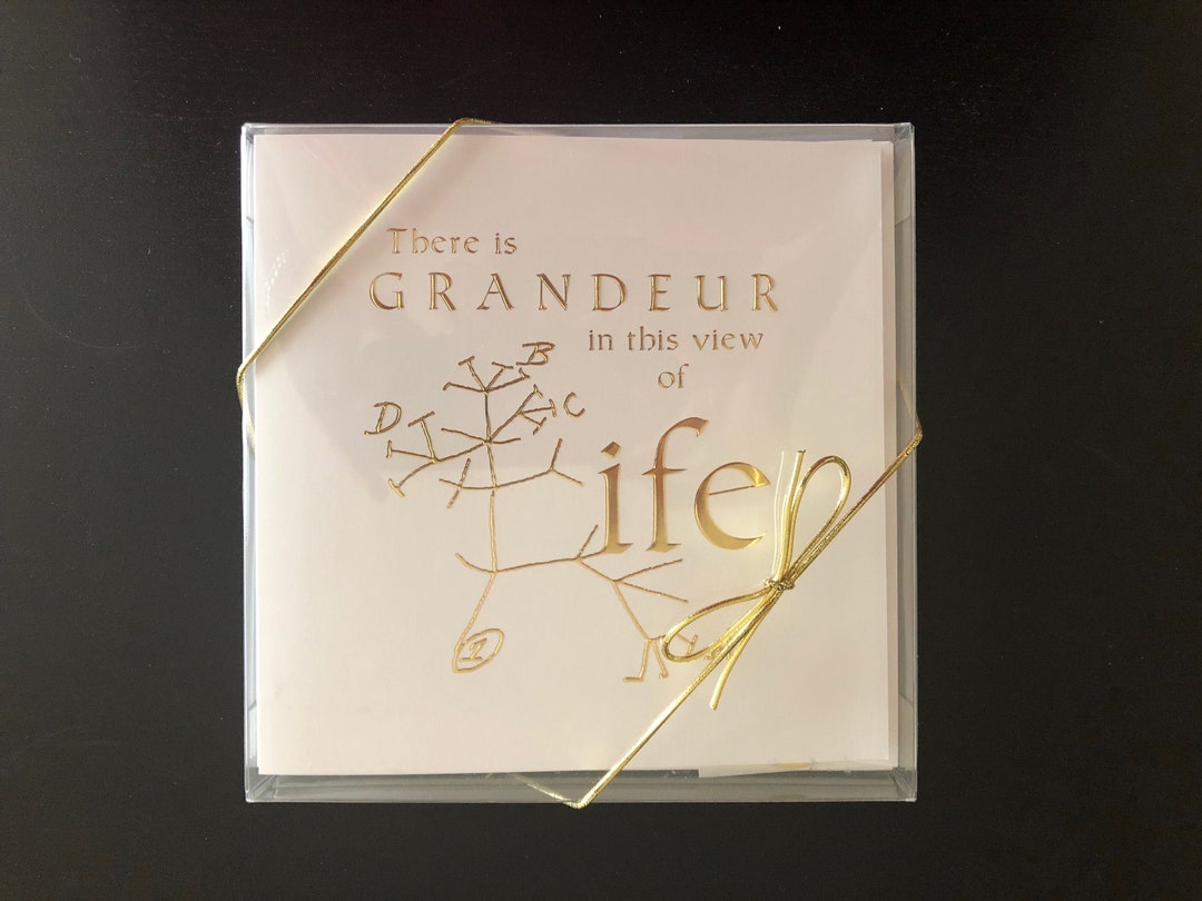 Darwin Grandeur Cards - Etsy
