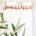 Acrylic Name Tags,table Name Tags,wedding Name Tags,event Table Setting ...