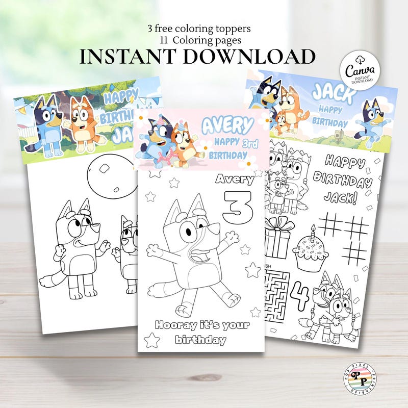 Bluey Books Birthday - Etsy